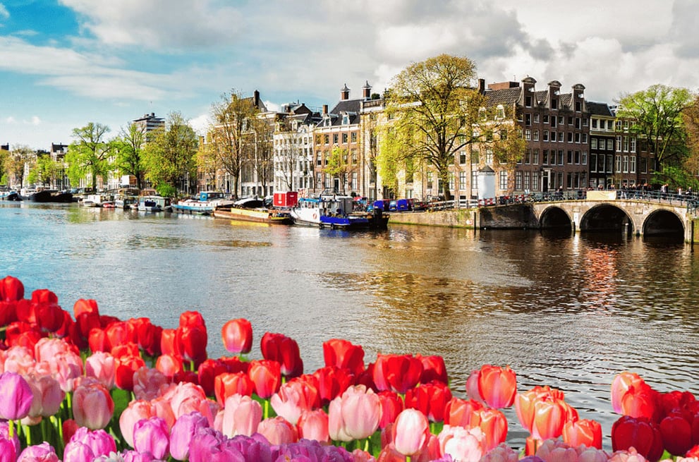 EAR Compliance & Certification Resources | Export Compliance Training ...